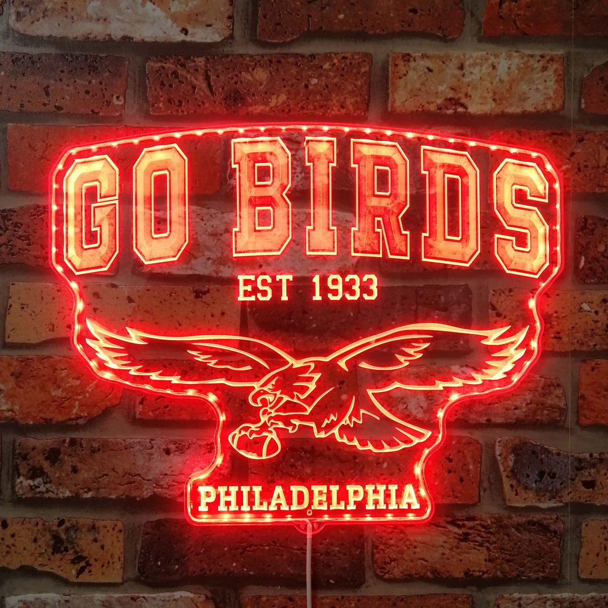 Philadelphia Eagles go birds Dynamic RGB Edge Lit LED Sign | PROLEDSIGN