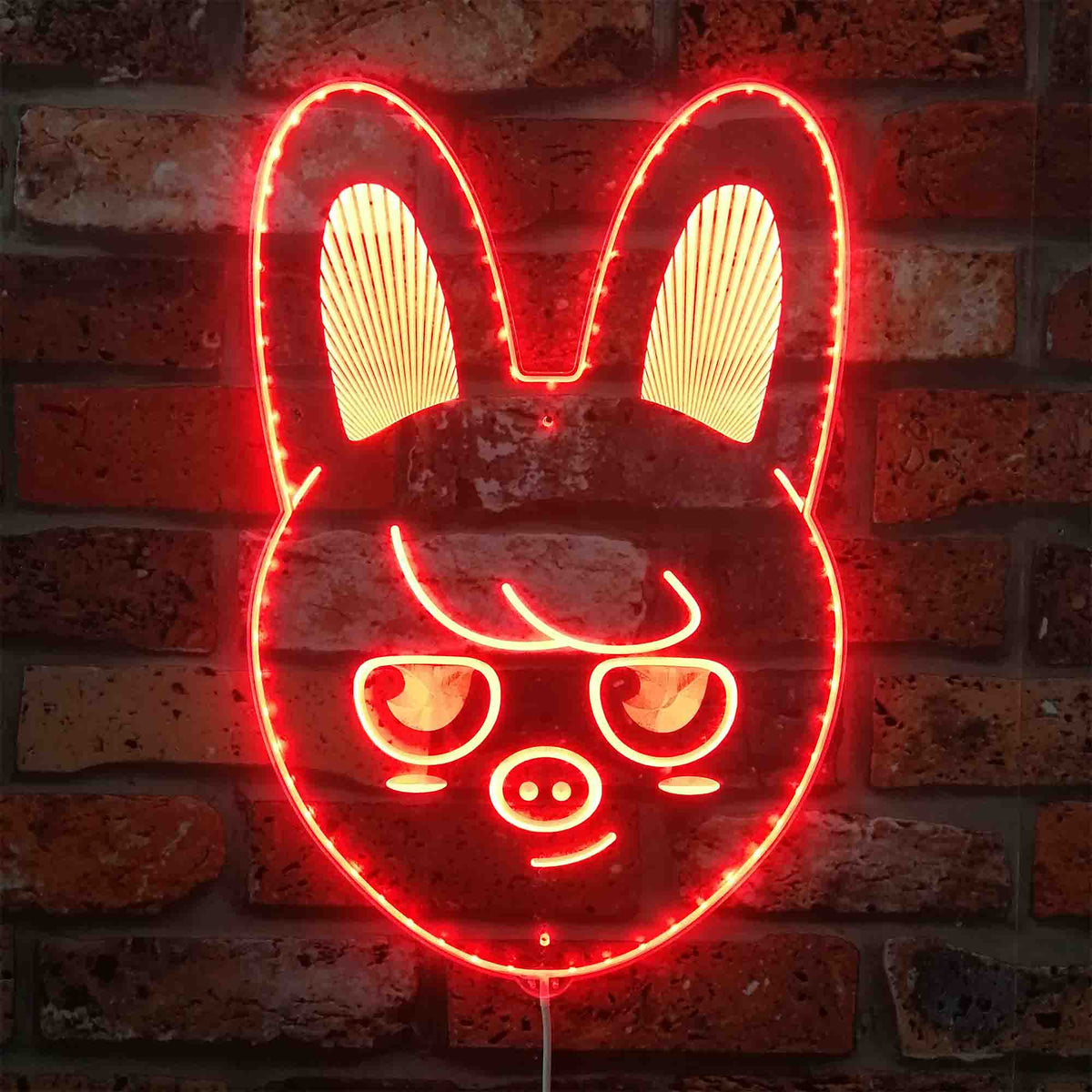 Skzoo Dwakki Dynamic RGB Edge Lit LED Sign | PROLEDSIGN