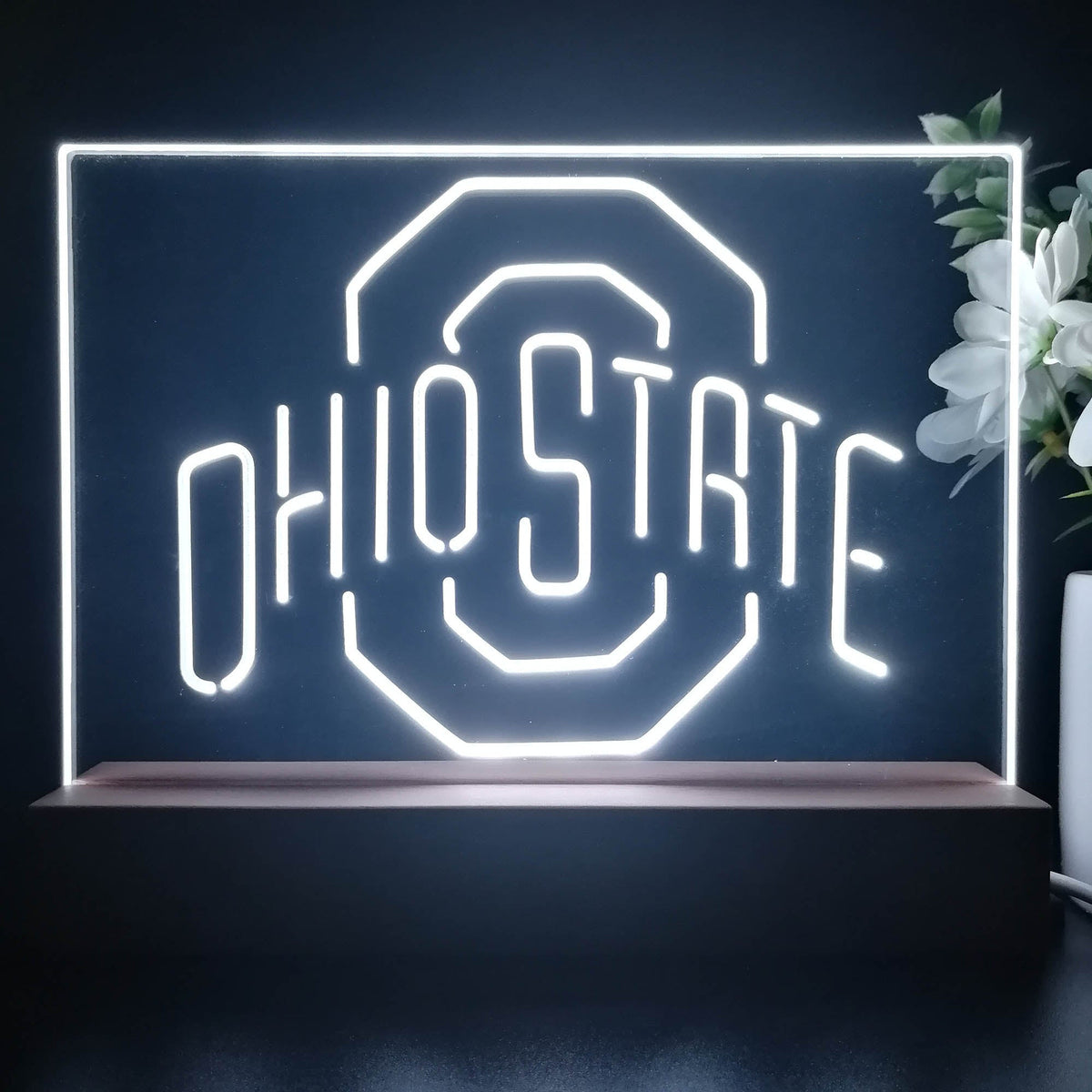 Ohio State Buckeyes Neon Sign Table Lamp Display | PRO LED SIGN