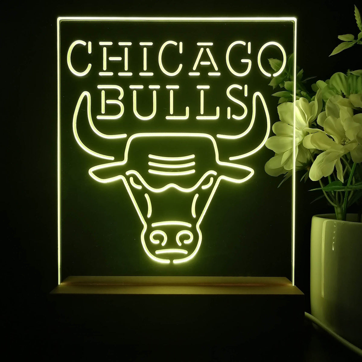 Chicago Bulls Neon Sign Table Lamp Display | PRO LED SIGN