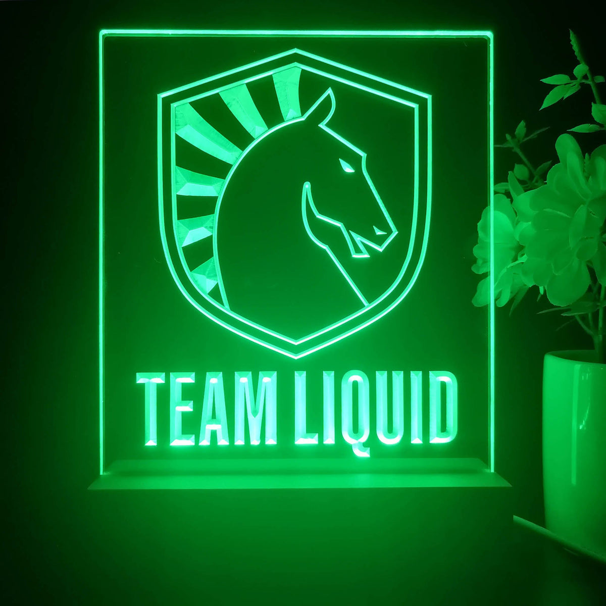 Team Liquid Neon Sign Table Lamp Display | PRO LED SIGN