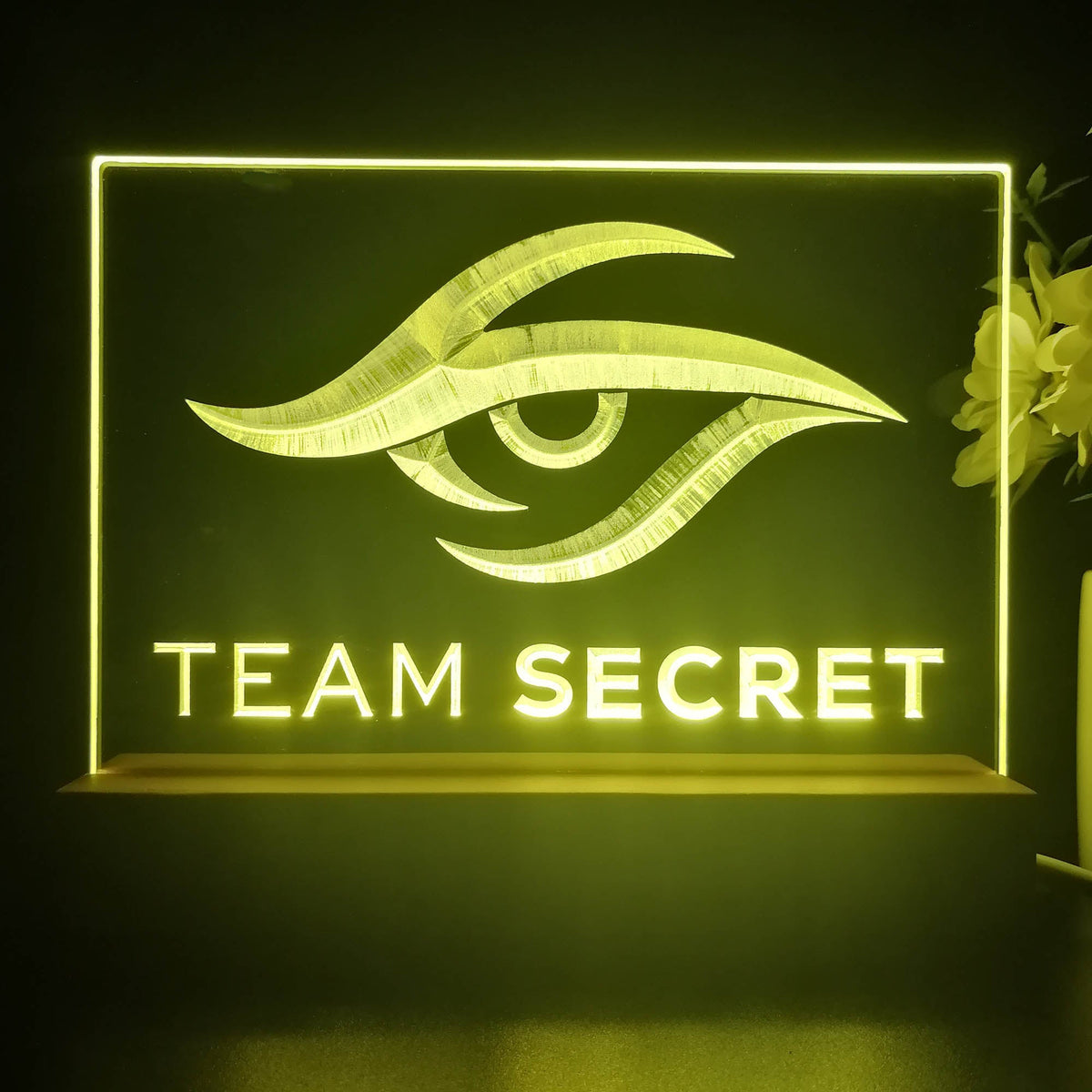 Team Secret Neon Sign Table Lamp Display | PRO LED SIGN